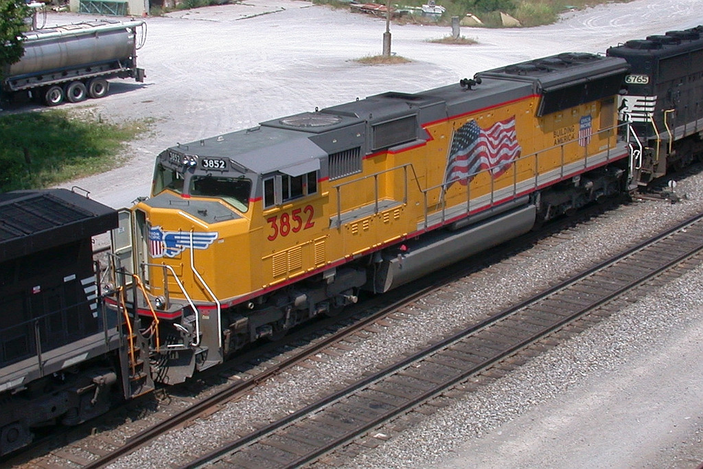 UP 3852 one year old exploring the rathole